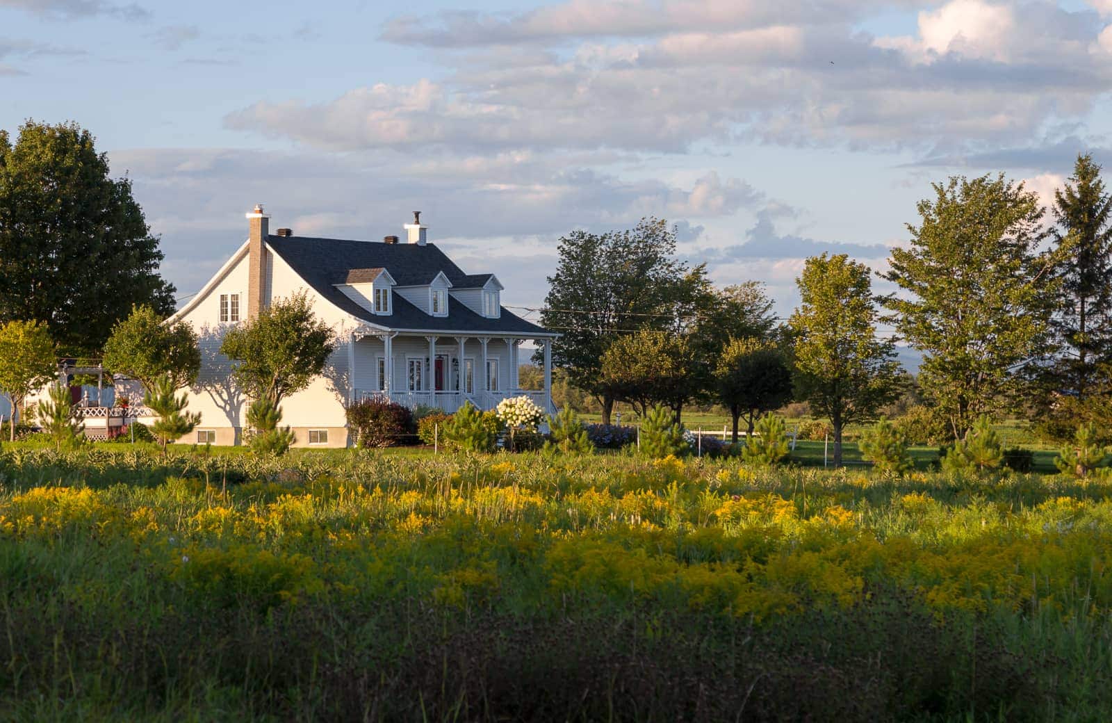 Mortgage Loan Products and Programs | CrossCountry Mortgage